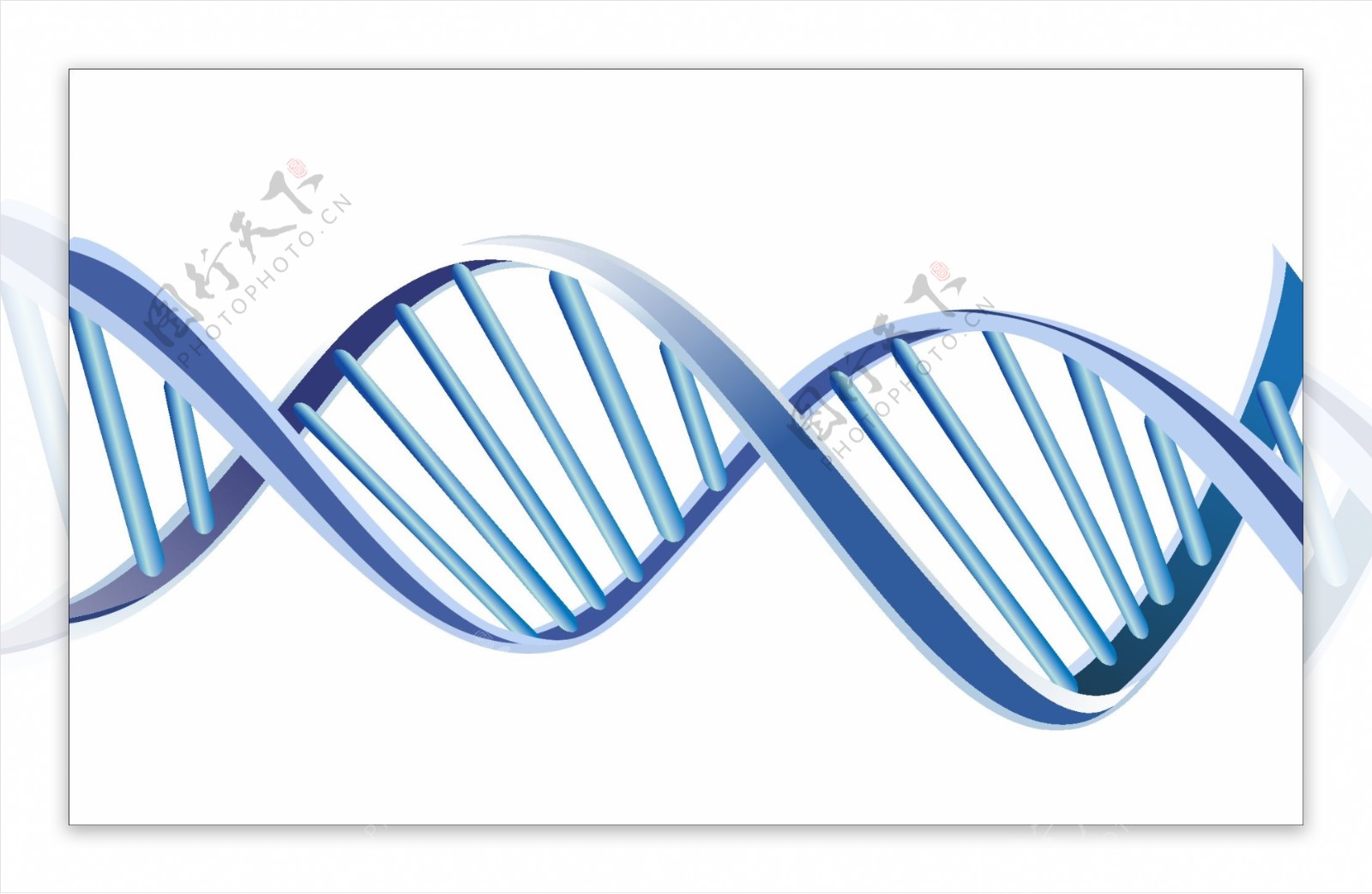 基因DNA图片素材-编号05475736-图行天下