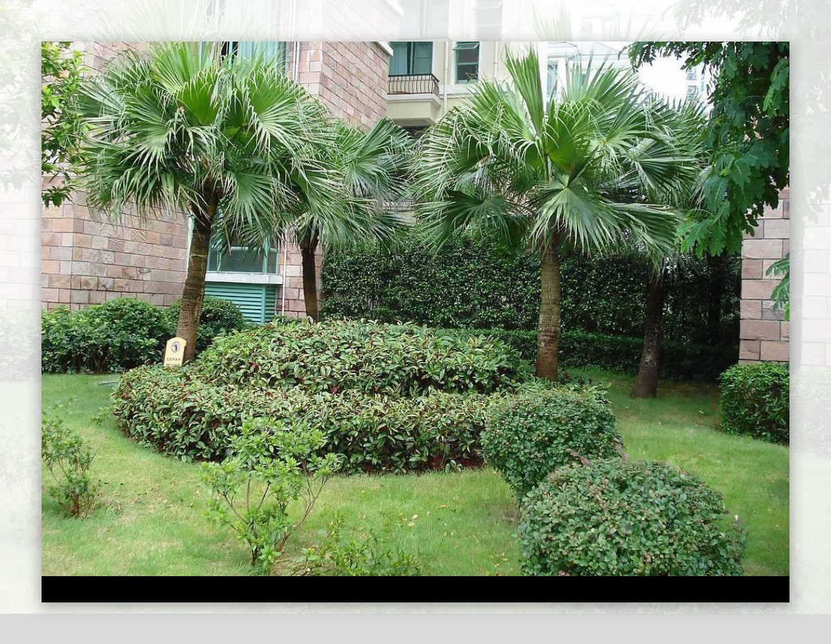 小区园林绿化景观图片素材-编号09594636-图行天下