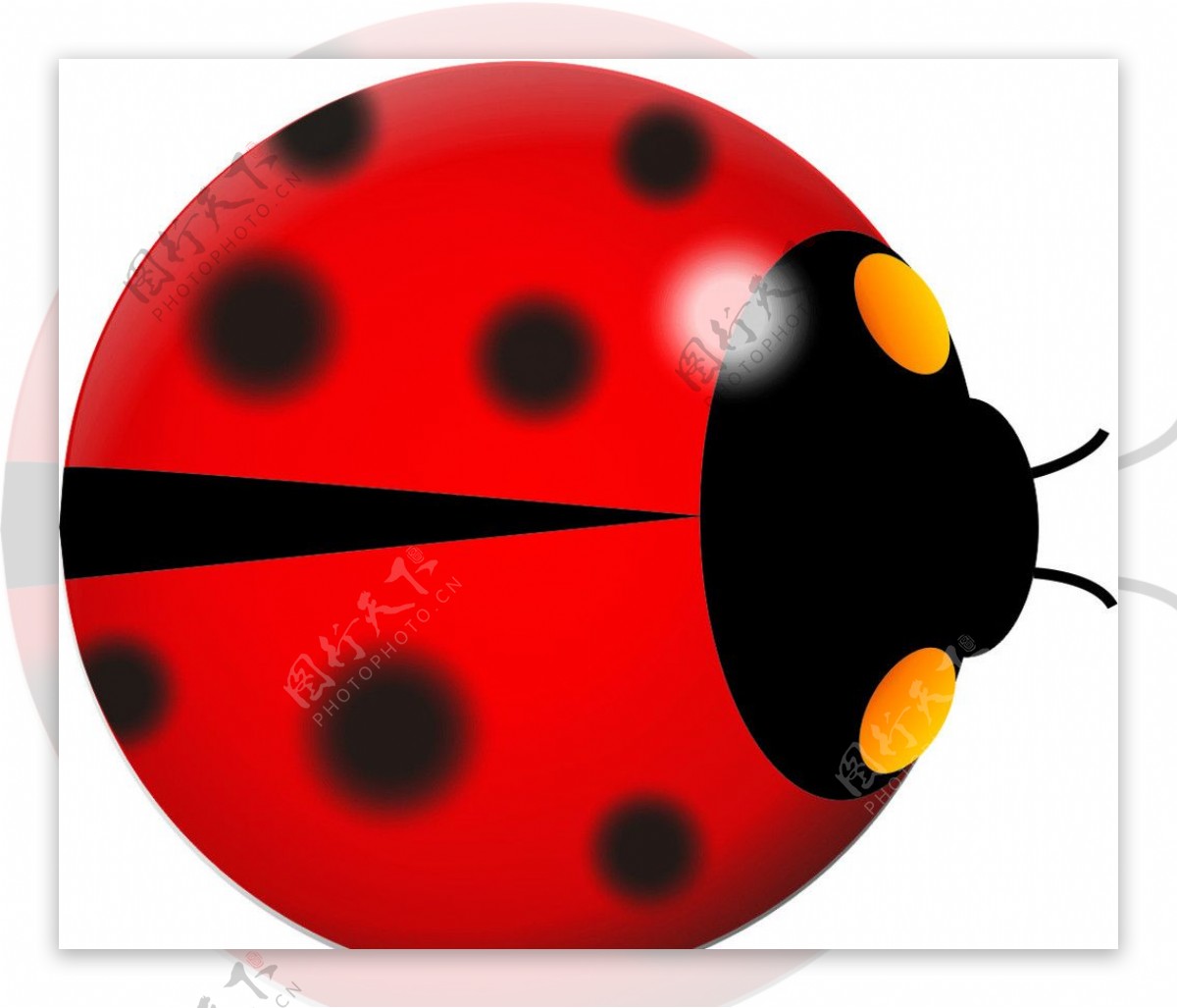 昆虫花大姐图片素材-编号10027296-图行天下