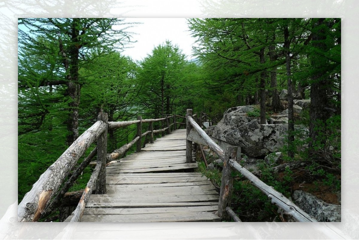 太白山图片素材-编号11570126-图行天下