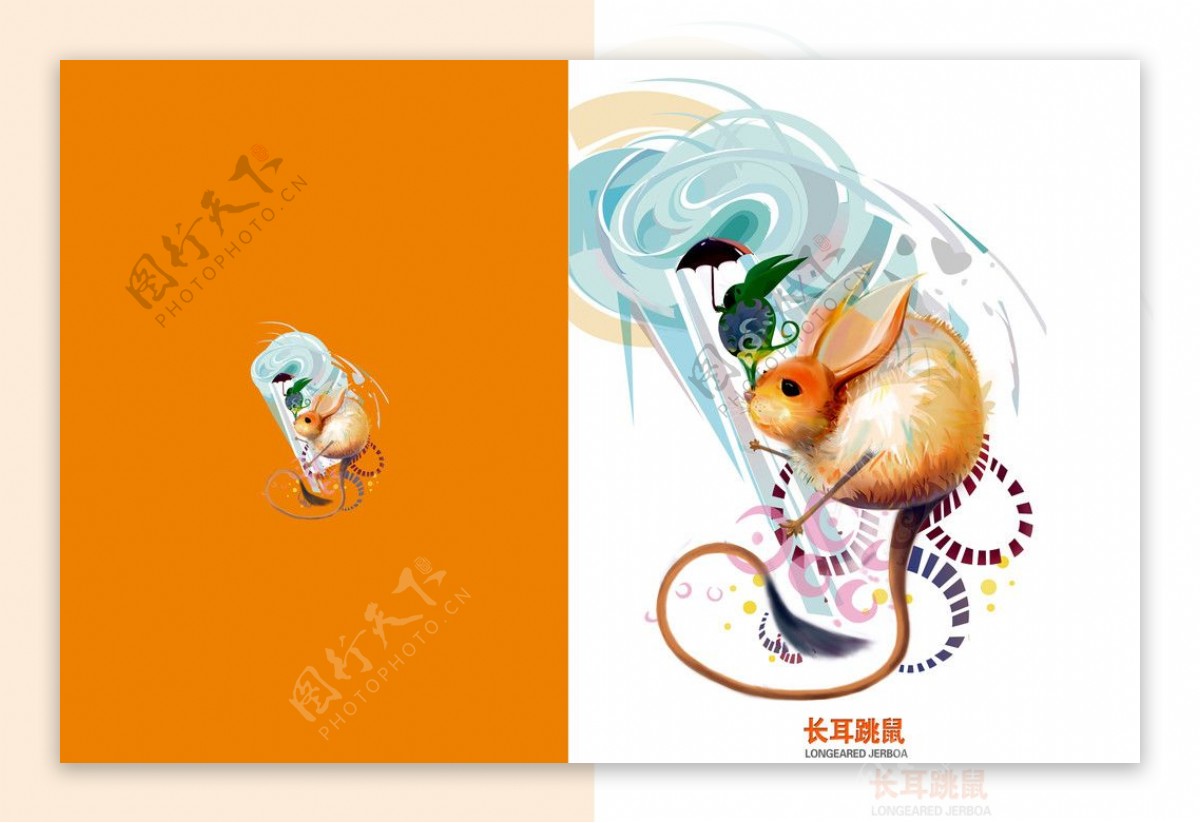长耳跳鼠图片素材-编号12191056-图行天下