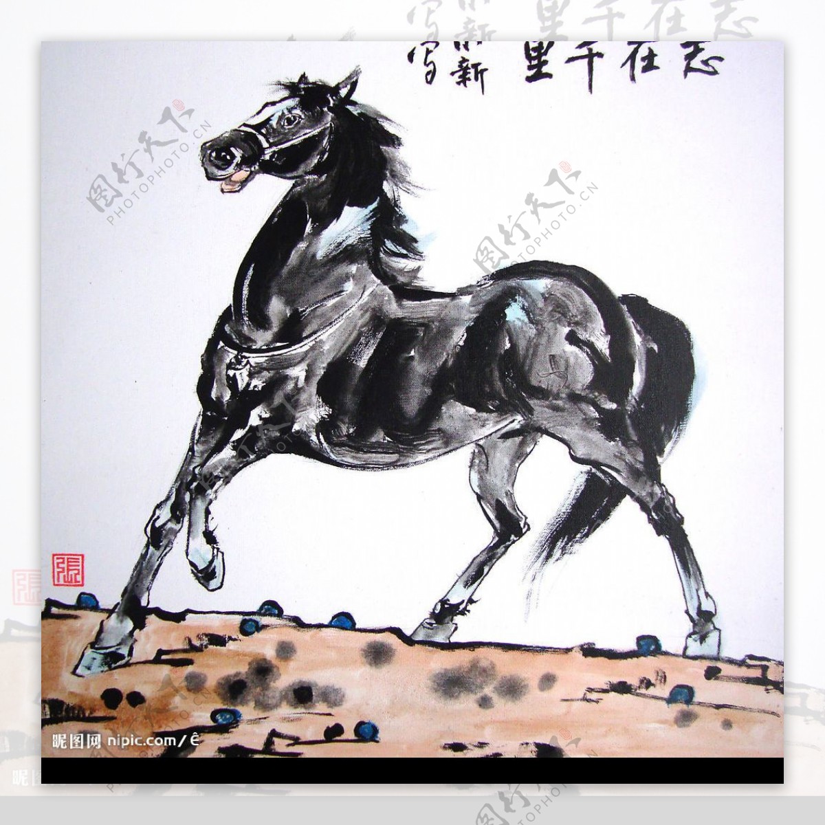 国画12生肖马图片素材-编号12429146-图行天下