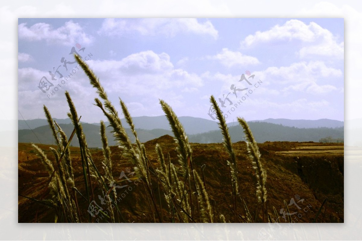 自然景观图片素材-编号12710306-图行天下