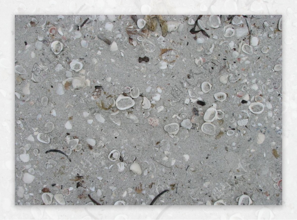 沙滩贝壳高清背景图片素材-编号12738946-图行天下