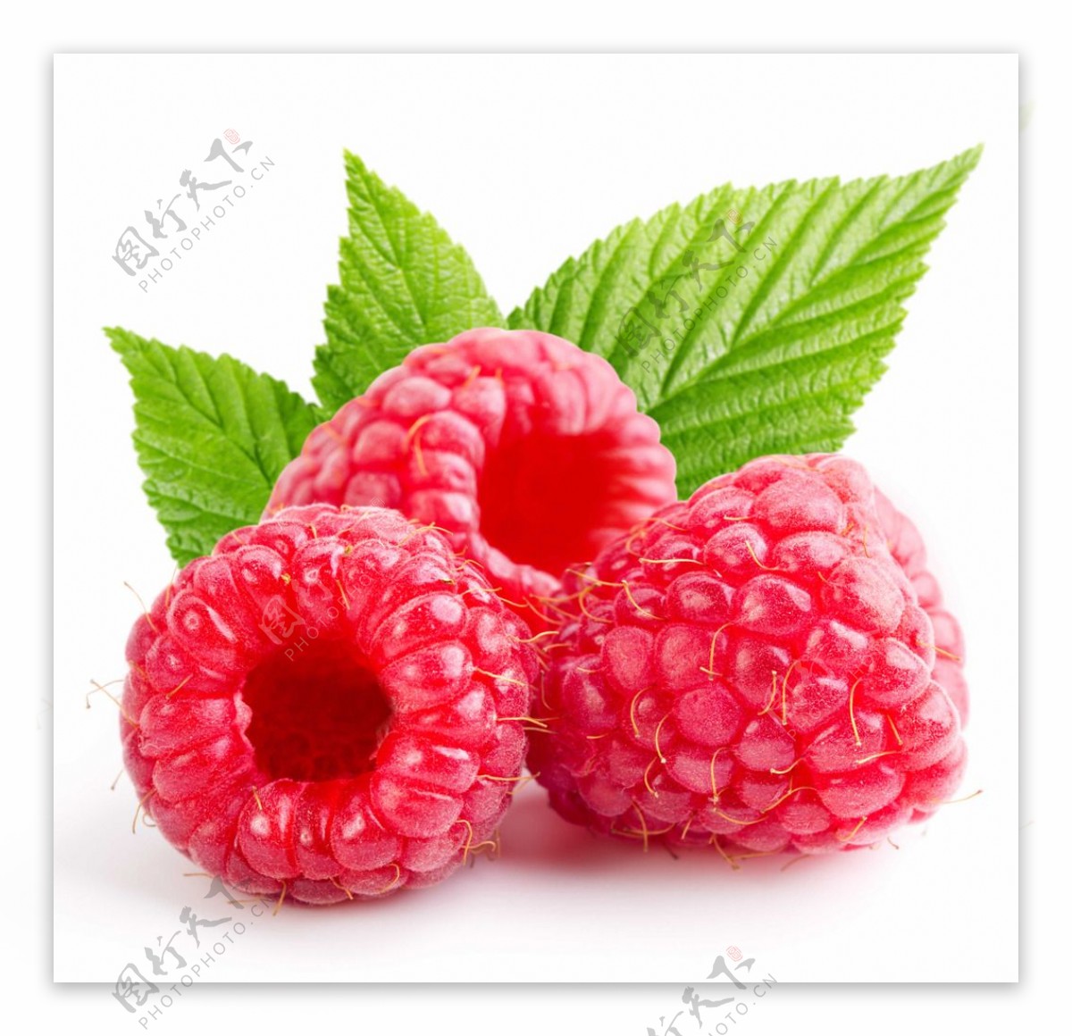 高清树莓图片素材-编号13529886-图行天下