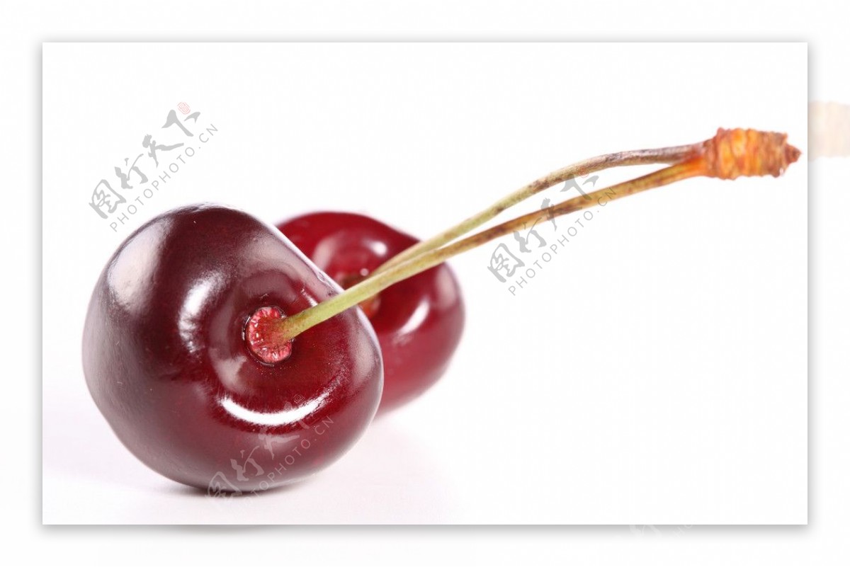 樱桃特写图片素材-编号13763916-图行天下