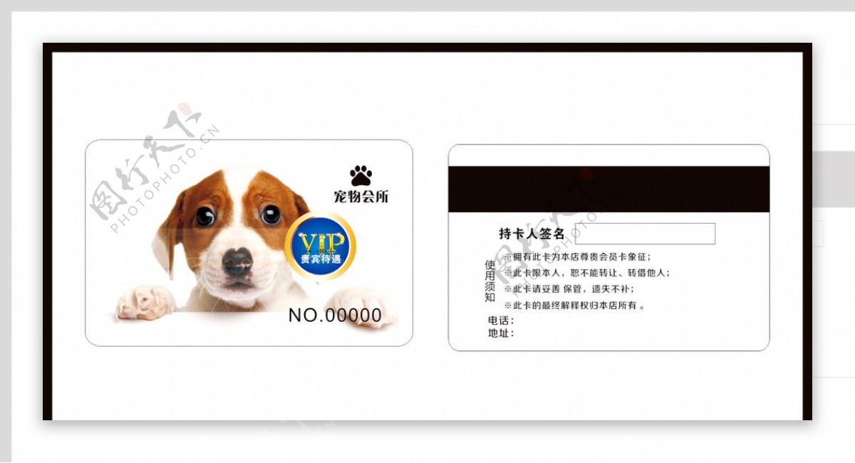 宠物VIP卡图片素材-编号17562386-图行天下