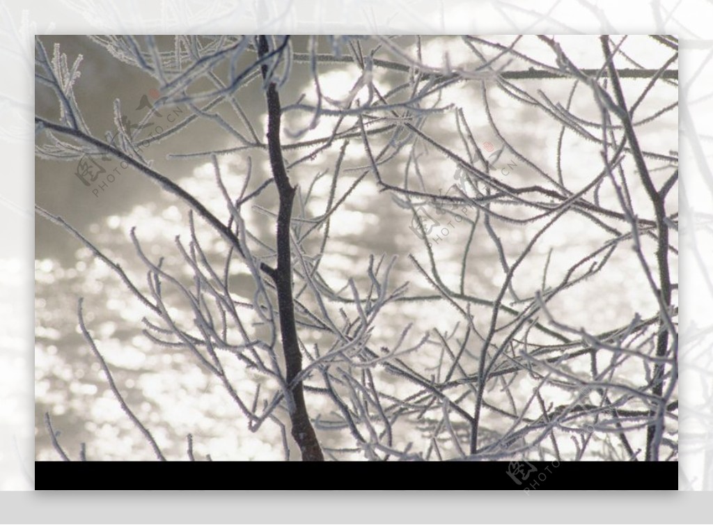 冬季盛景0152图片素材-编号19772646-图行天下