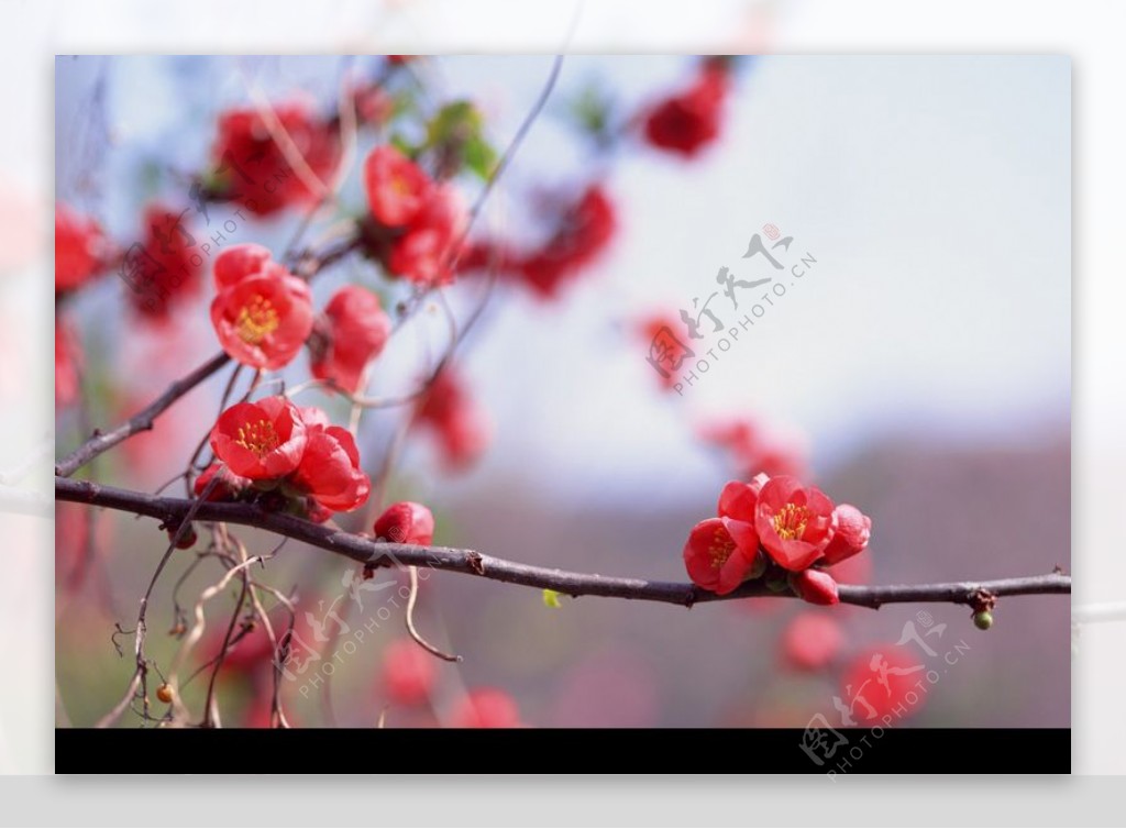 四季休闲0178图片素材-编号19774616-图行天下