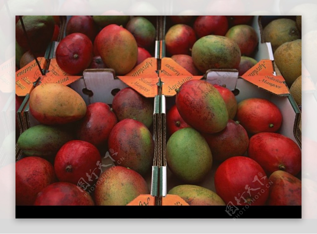 水果天地0127图片素材-编号20232916-图行天下