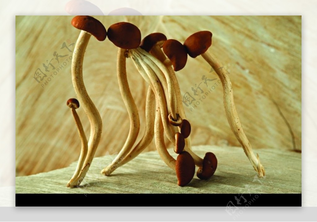 田园清蔬0056图片素材-编号20263226-图行天下