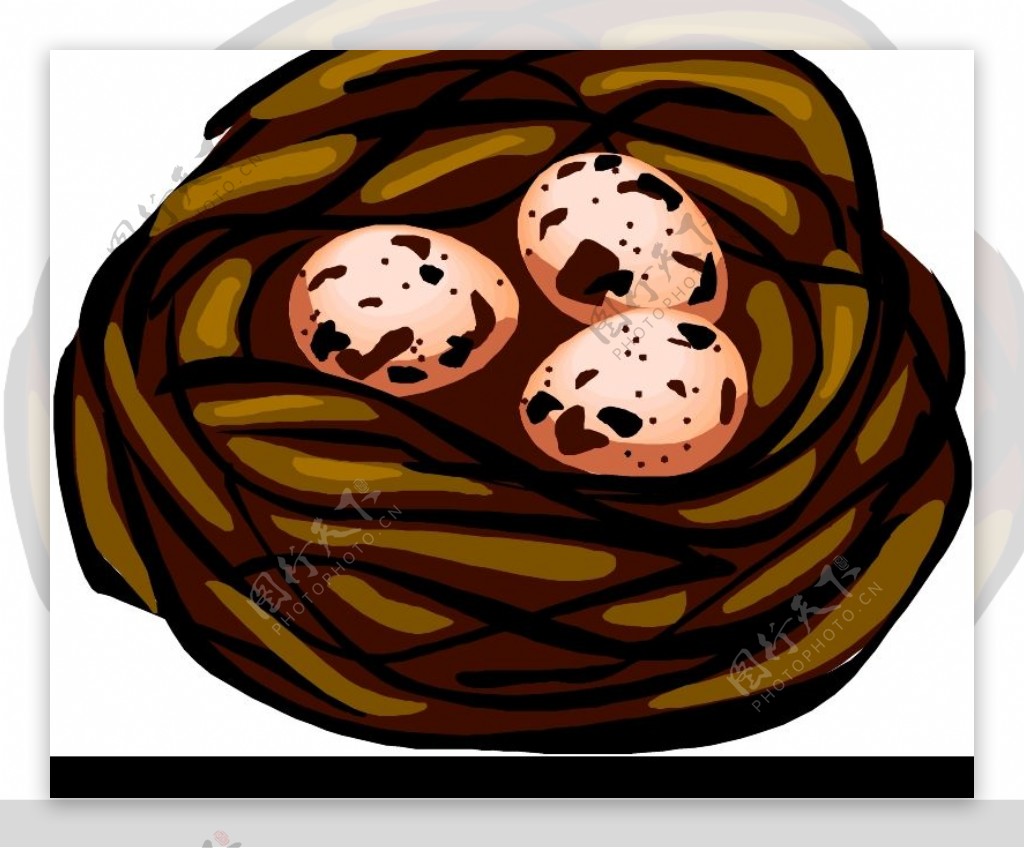 鸟类动物1029图片素材-编号20620216-图行天下