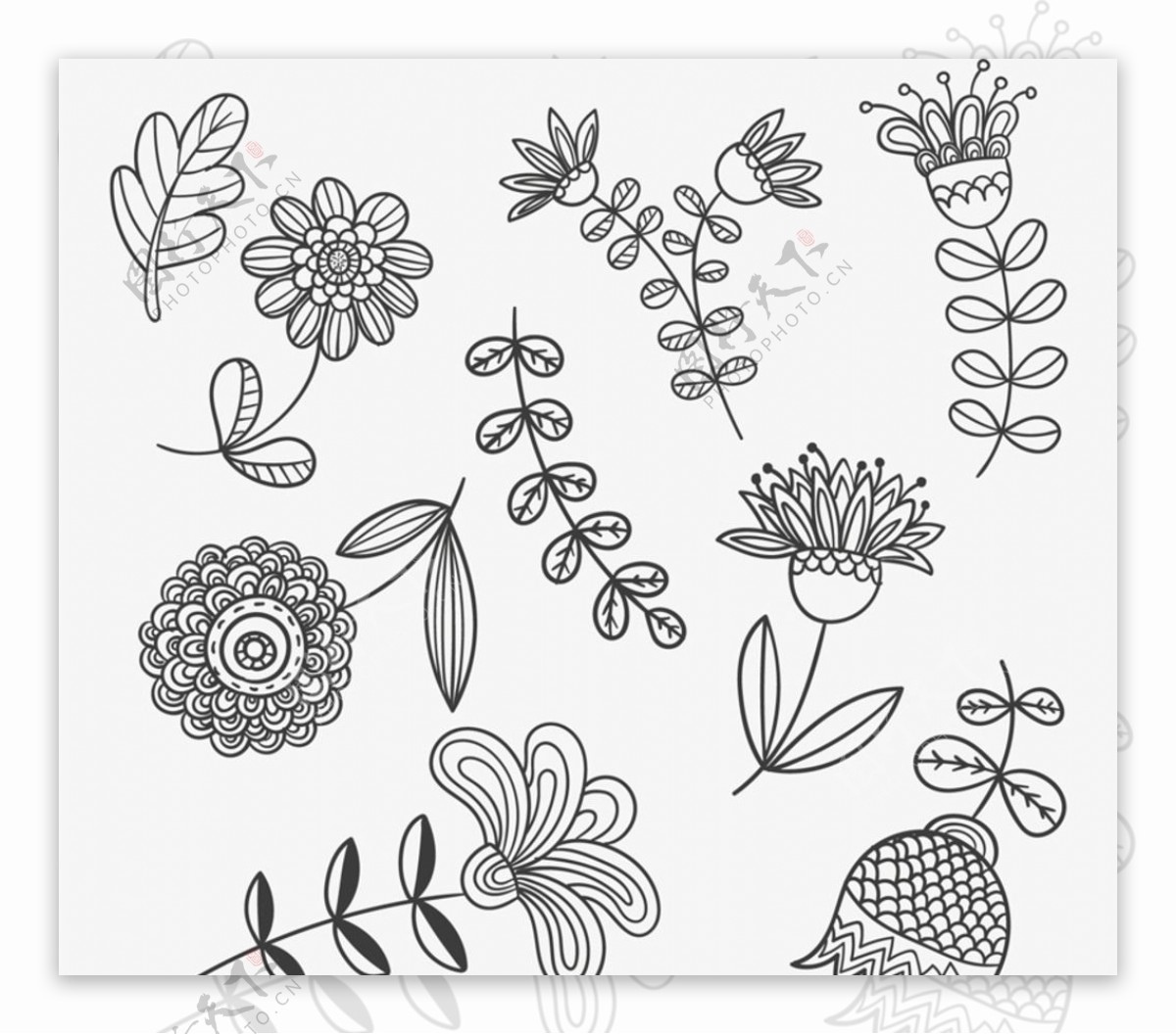 手绘花卉与树叶矢量图图片素材-编号23831896-图行天下