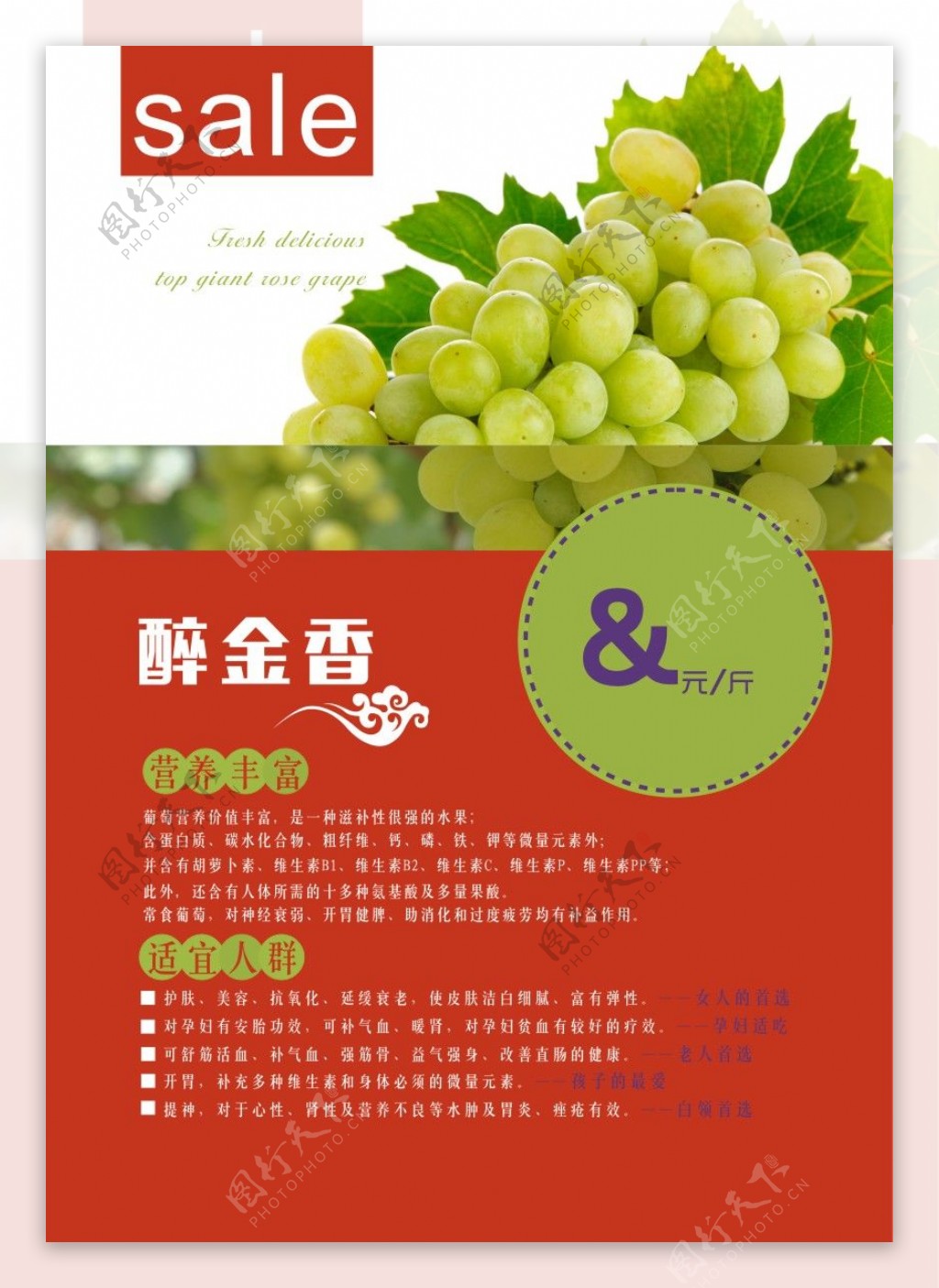 葡萄促销KT版图片素材-编号24948556-图行天下