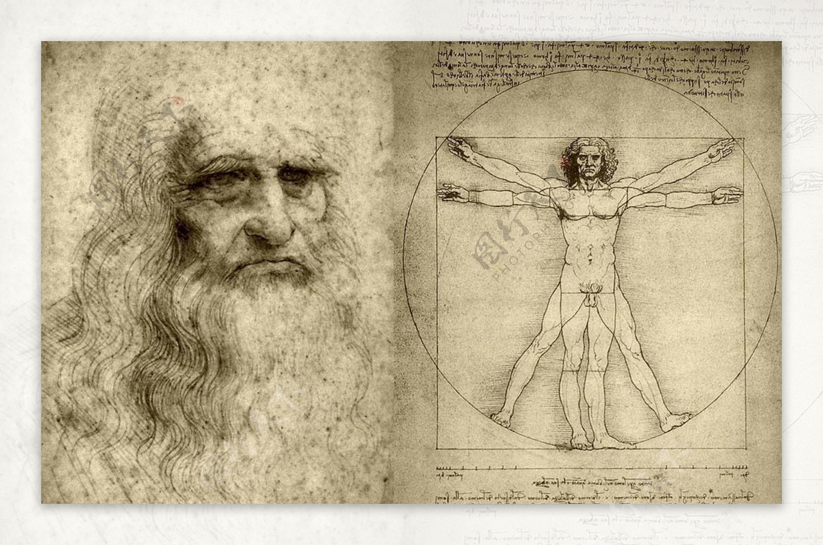 达芬奇与黄金人体比例图片素材-编号26696746-图行天下
