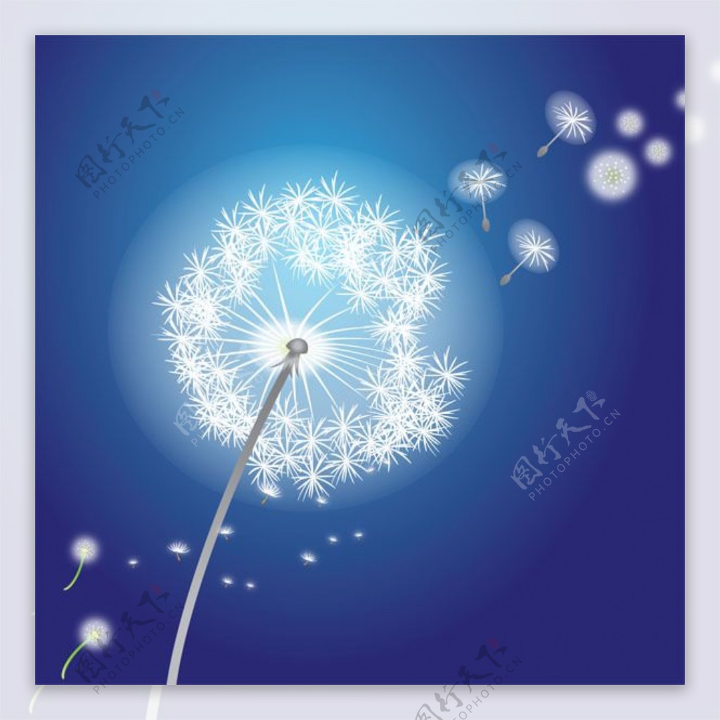 矢量蒲公英图片素材-编号27292956-图行天下