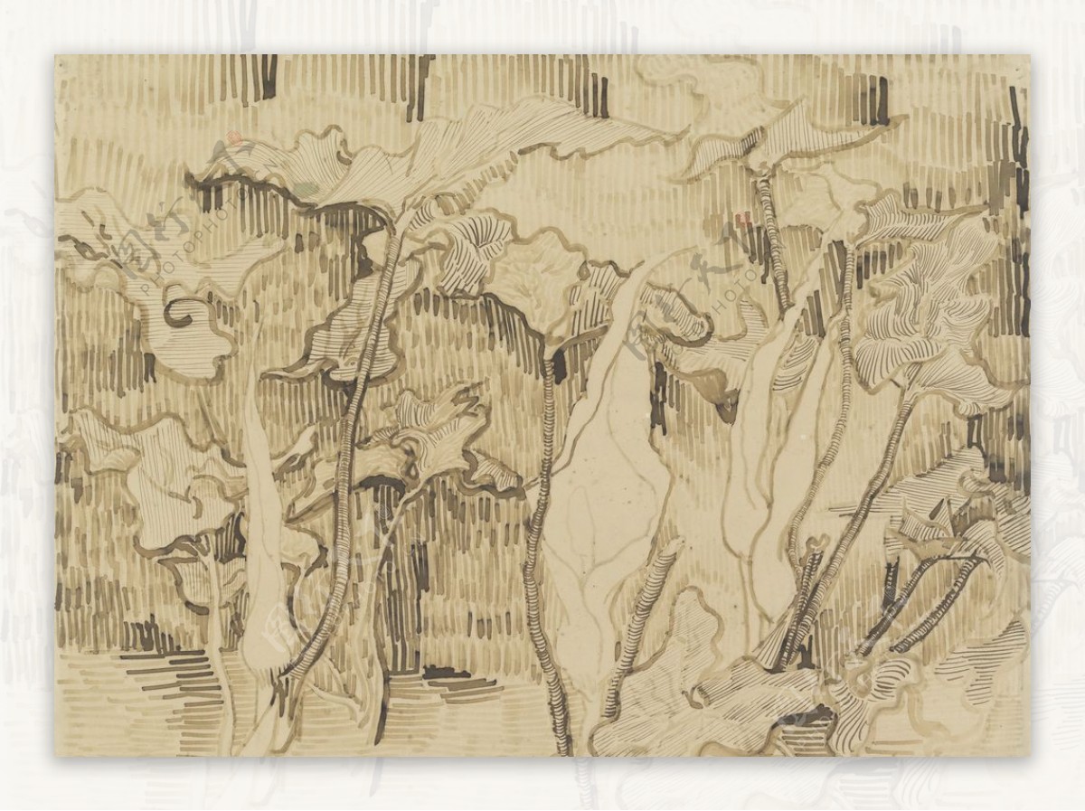 梵高素描线稿习作图片素材-编号30745256-图行天下