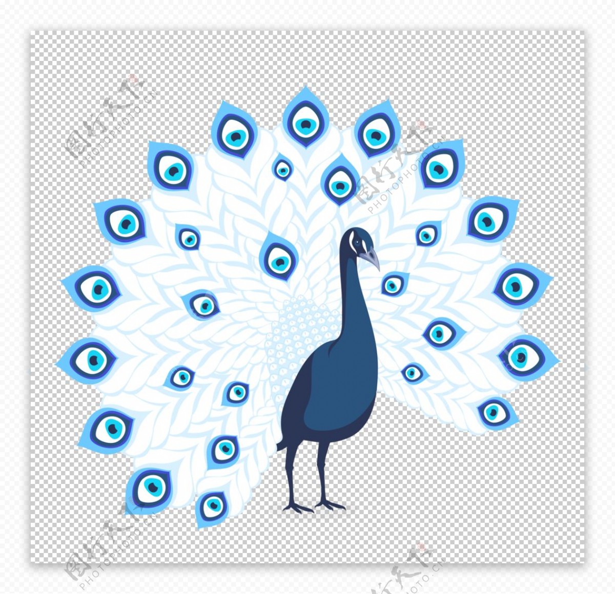 卡通孔雀图片素材-编号32261196-图行天下