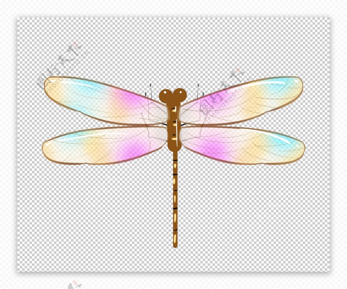 蜻蜓图片素材-编号39799216-图行天下