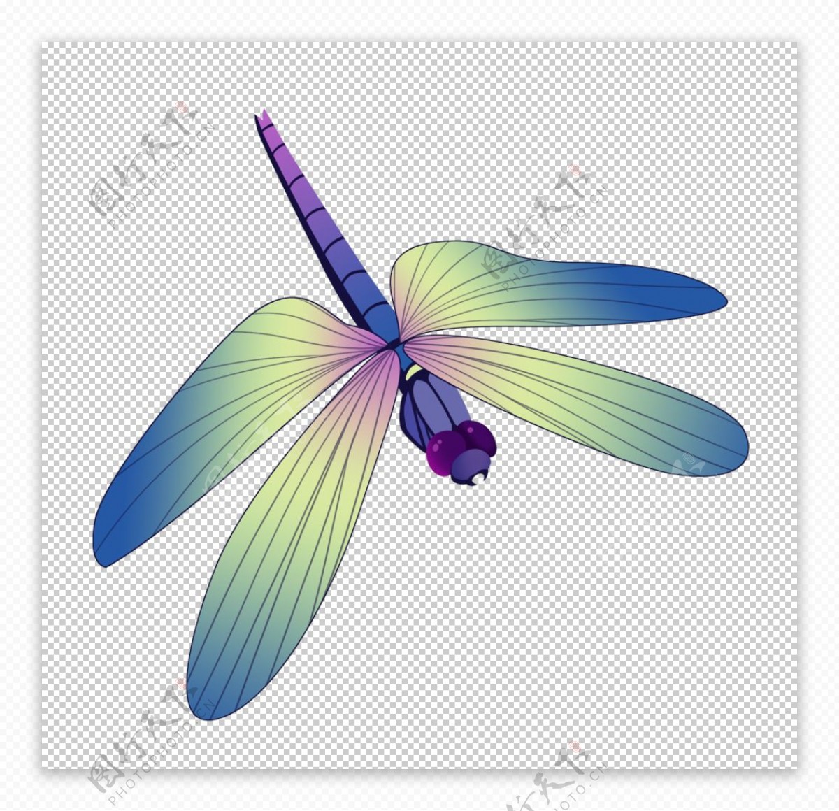 蜻蜓图片_动物昆虫_自然风景-图行天下素材网